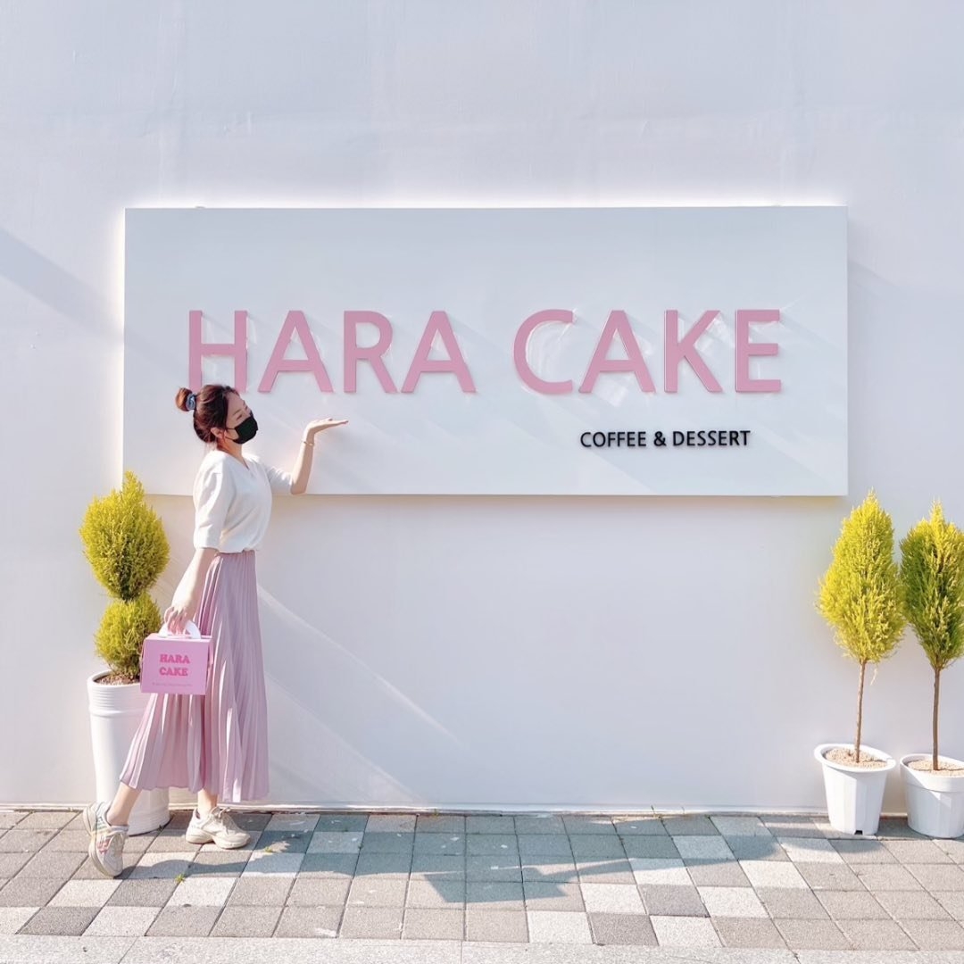 하라케이크(부산점) | 하이케이크 스토어